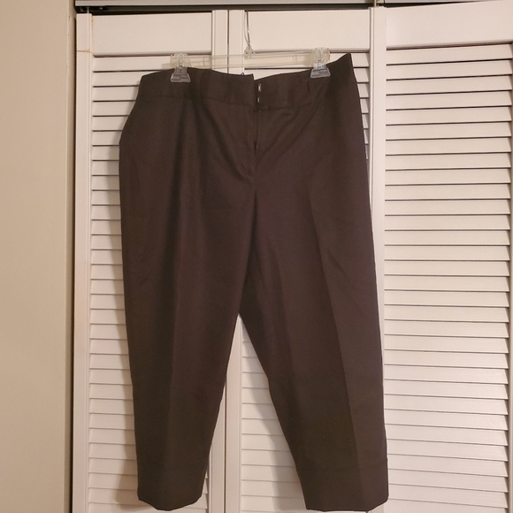 Dalia Collection | Pants & Jumpsuits | Women Capri Pants | Poshmark